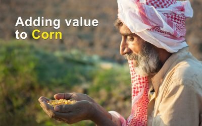 Rafhan Maize Products Co Ltd - ePages